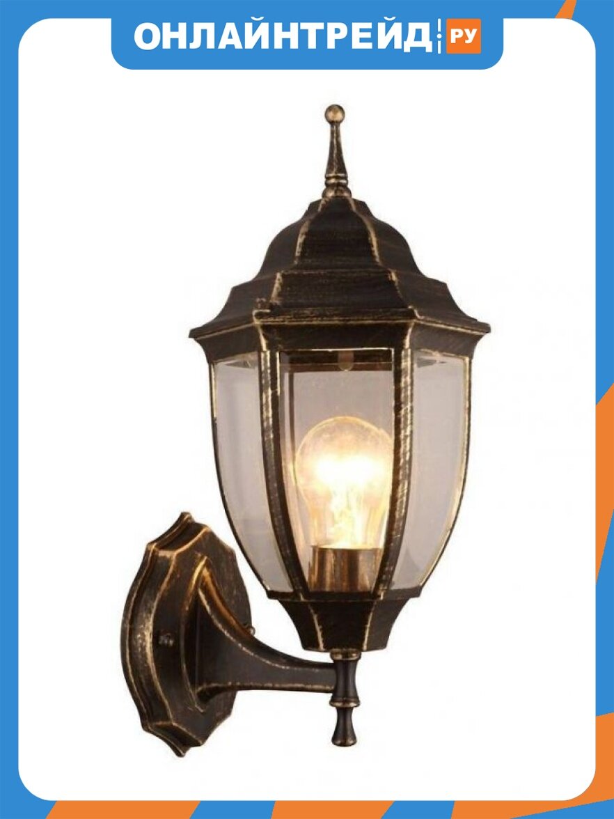 Уличный настенный светильник Arte Lamp Pegasus A3151AL-1BN