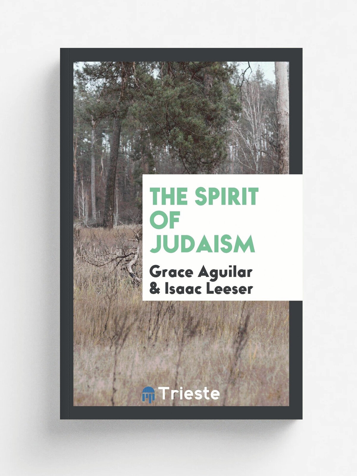 Spirit of Judaism;
