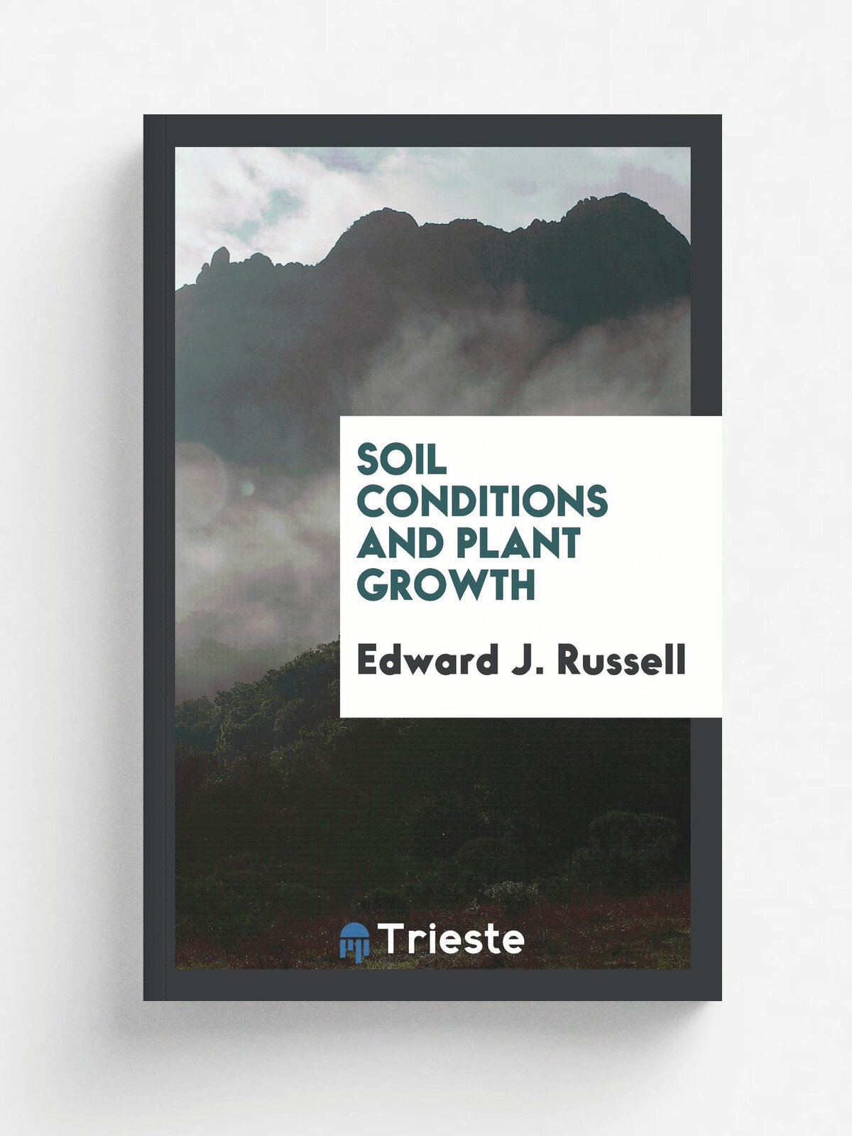 Soil Conditions and Plant Growth
