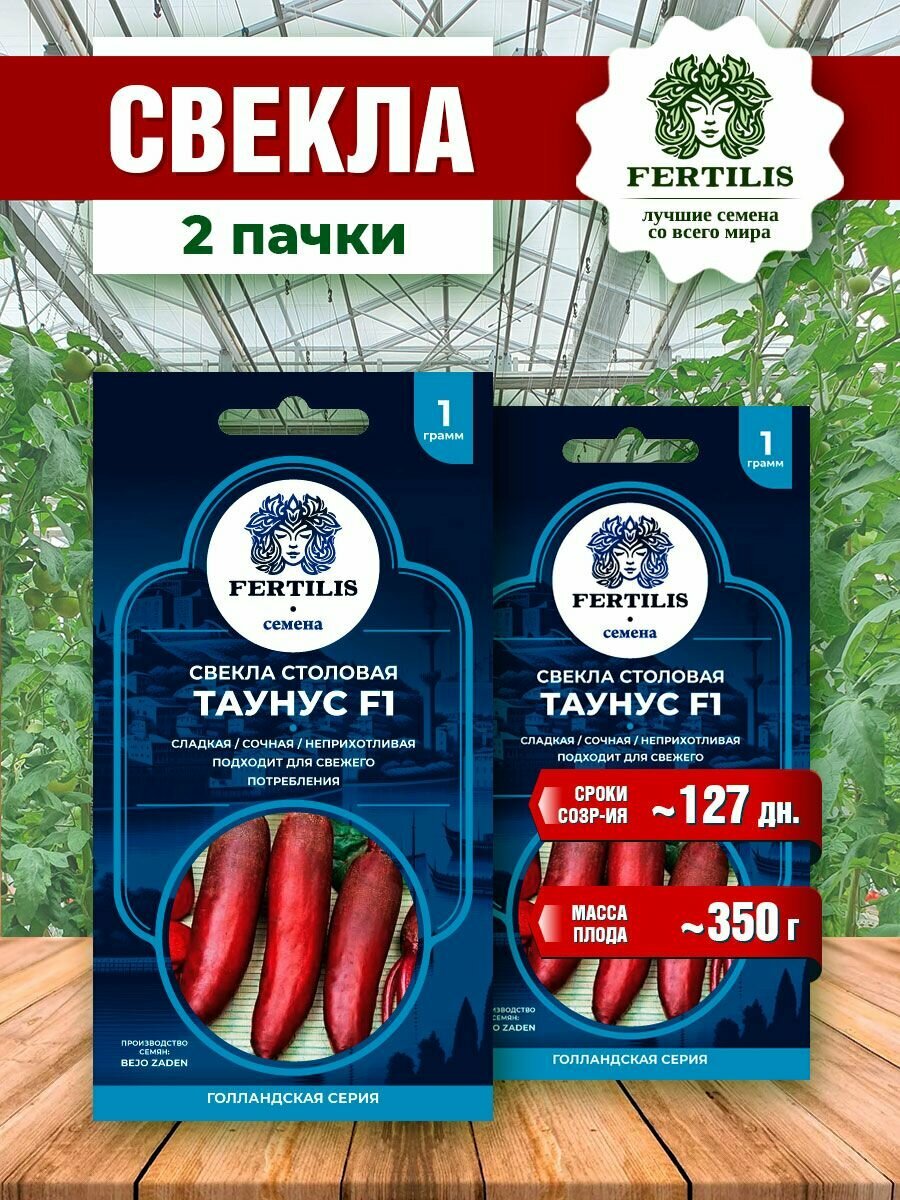 Семена столовой свеклы Таунус F1 от компании Fertilis (2 пачки)