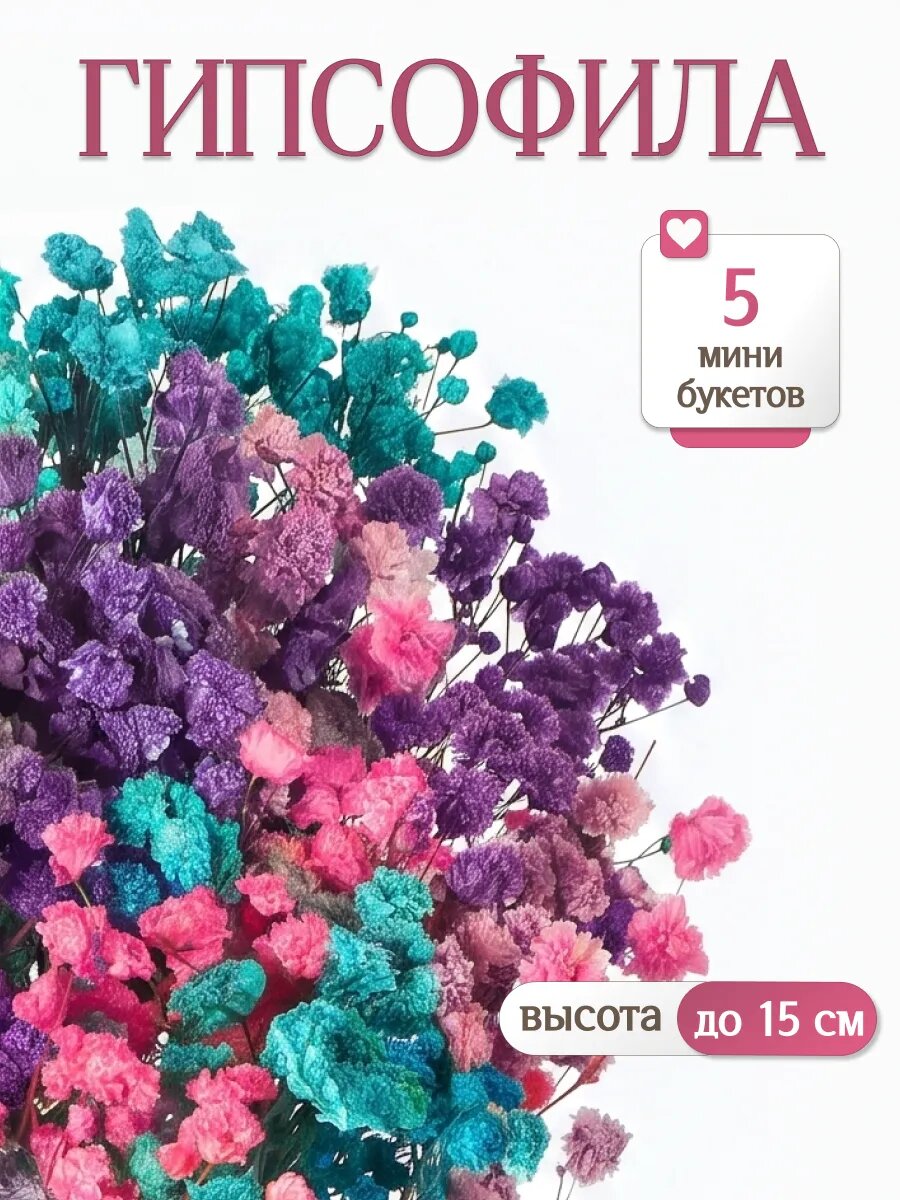 Гипсофилы мини 5 букетов, до 15 см сухоцветы для декора и интерьера elka.bio