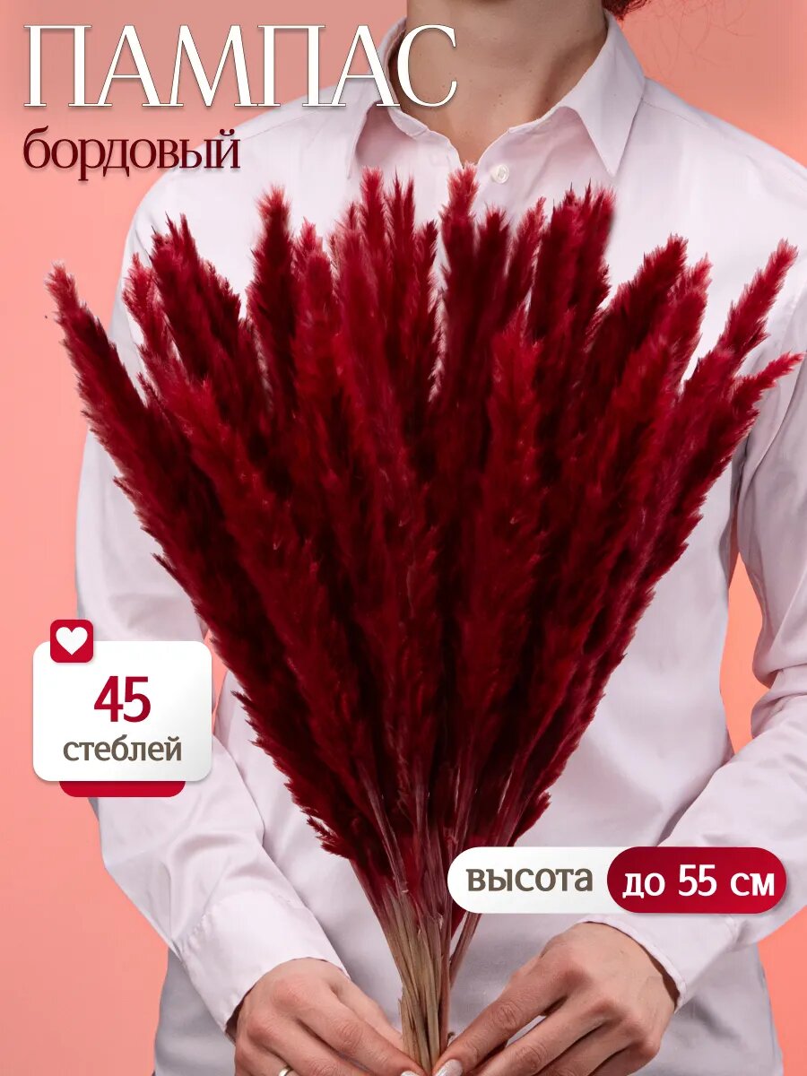 Пампасная трава бордовая 45 шт сухоцветы для декора