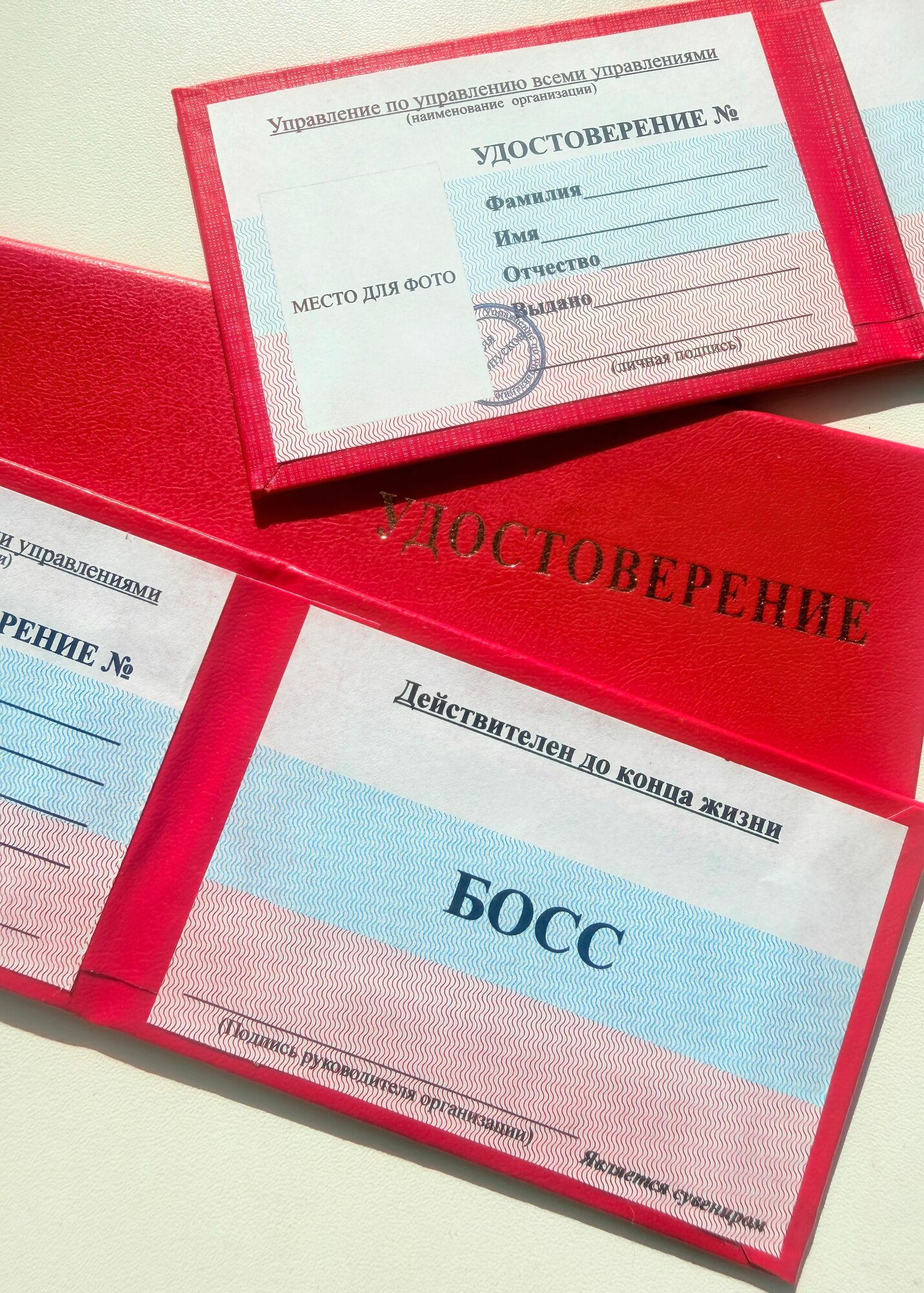 Удостоверение сувенирное ксива Босс