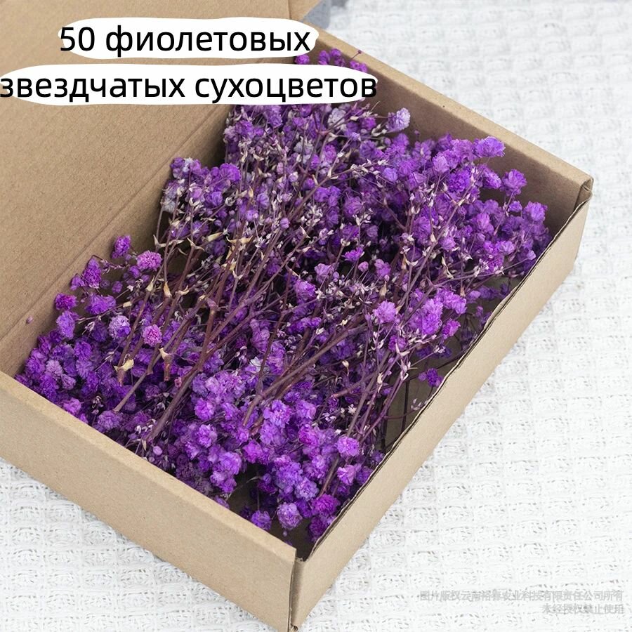 Сухоцветы, 50 шт
