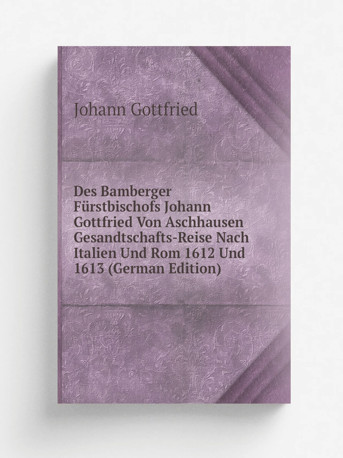 Des Bamberger F.rstbischofs Johann Gottfried Von Aschhausen Gesandtschafts-Reise Nach Italien Und Rom 1612 Und 1613 (German Edition) | Johann Gottfri…