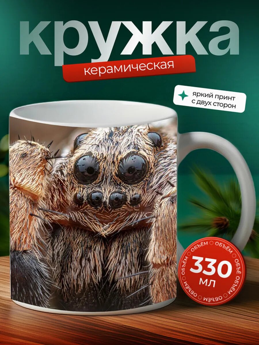 Кружка Амирок паук паукообразное 7,