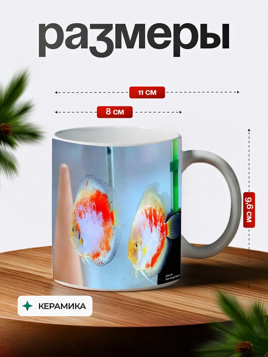 Кружка Дискус рыбка 41, — фото 1
