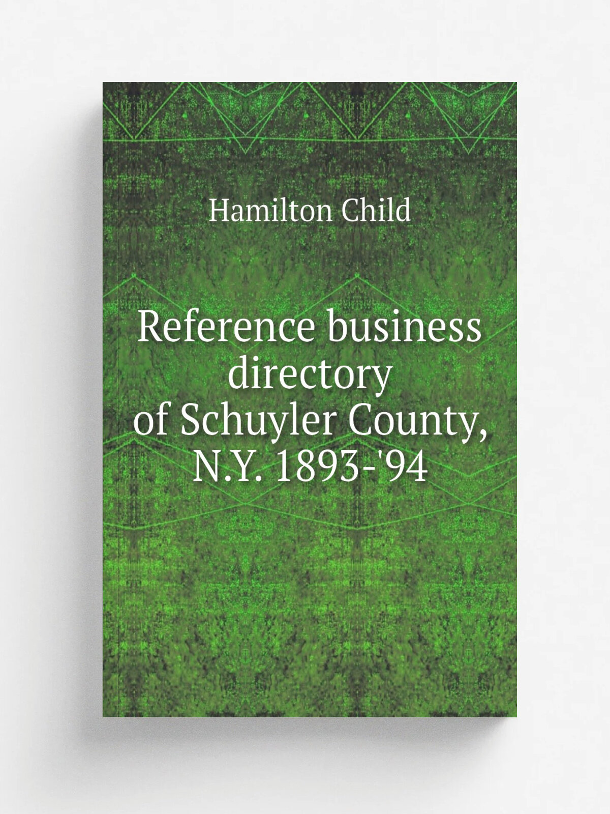 Reference business directory of Schuyler County, N.Y. 1893-'94