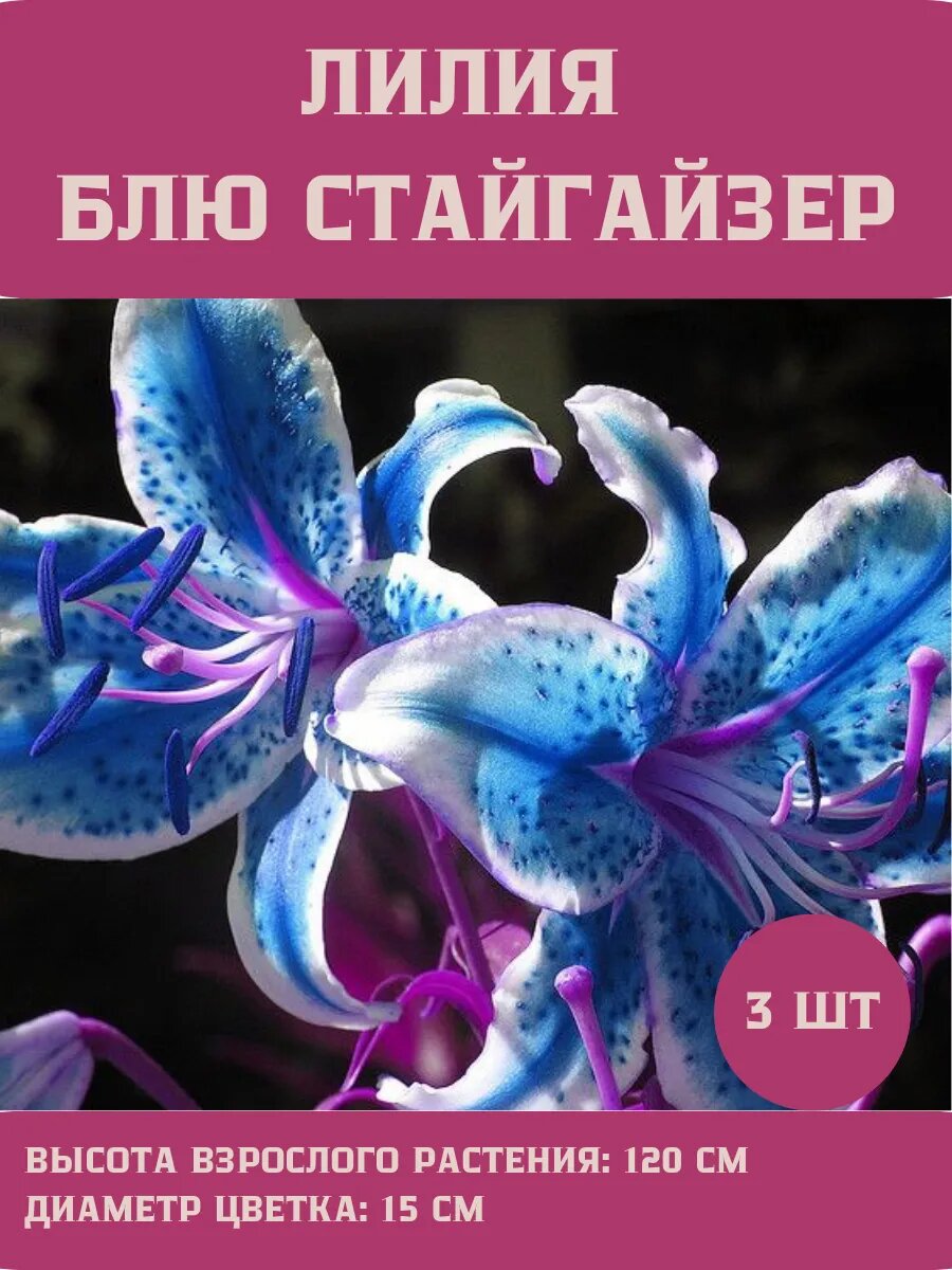Луковицы лилий многолетние растения