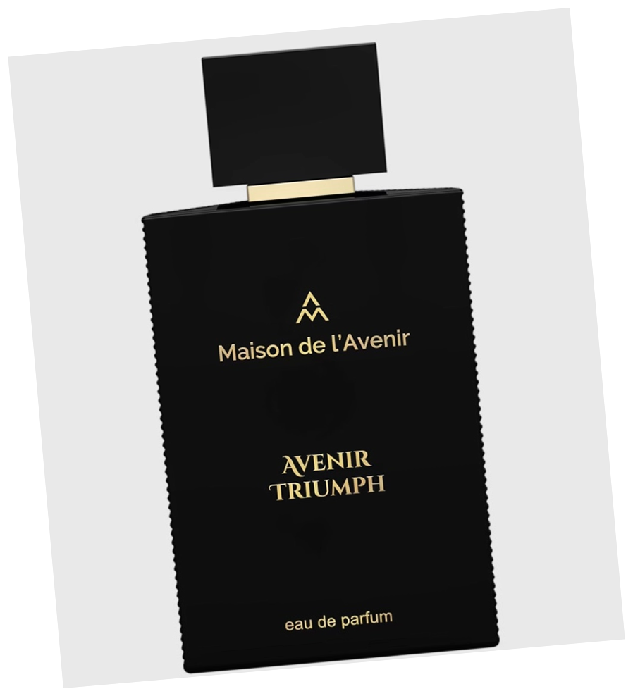 Мэзон Де Лавенир Авенир Триумф 100 мл / Maison De L Avenir Avenir Triumph аромат унисекс