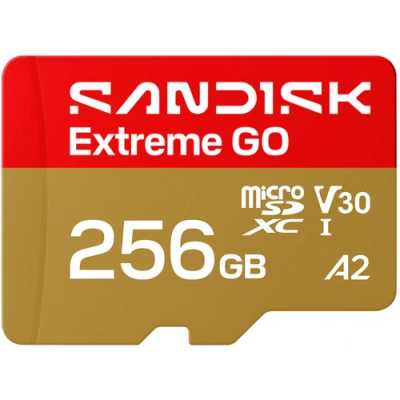 Карта памяти Extreme Go 256GB SDSQXGN-256G-GN6MN