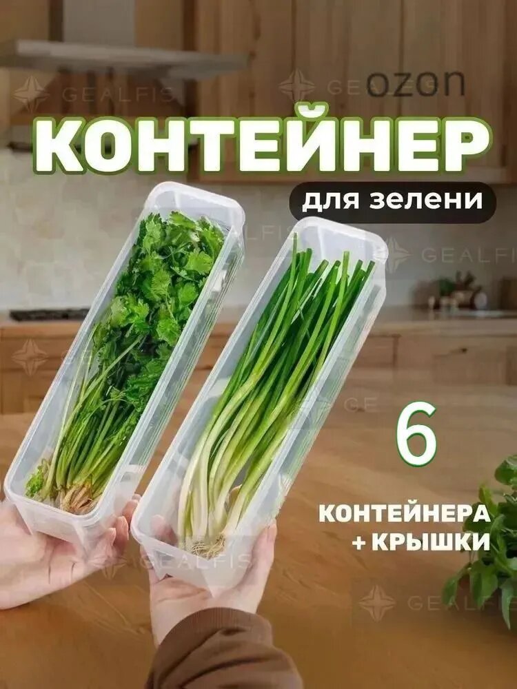Контейнер пищевой 25 см 6 шт пластик, можно мыть в посудомойке