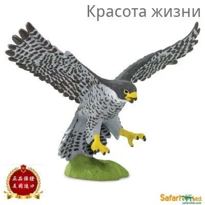 Safari Ltd Реалистичная фигурка сокола для детей, ABS пластик, Серый, 1 шт.
