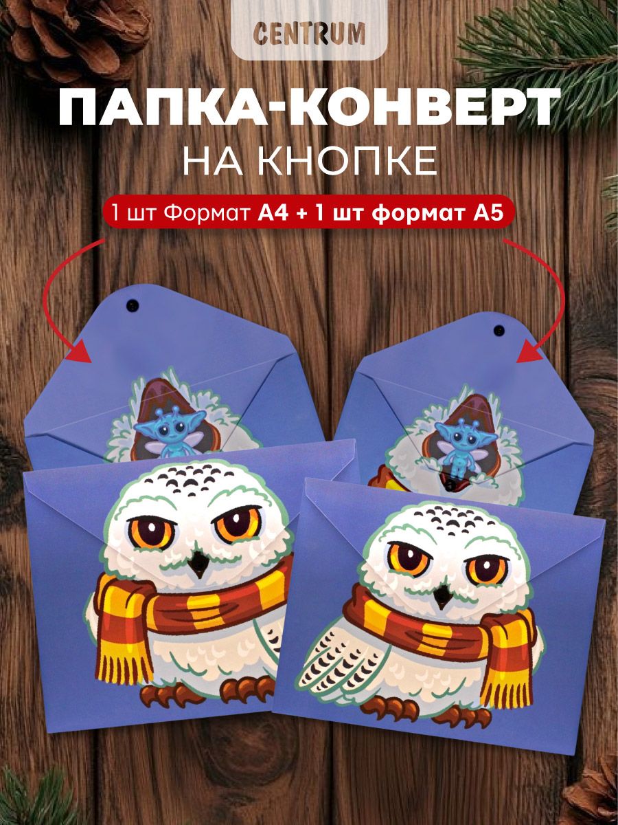 Набор папок с двусторонней печатью А4 и А5