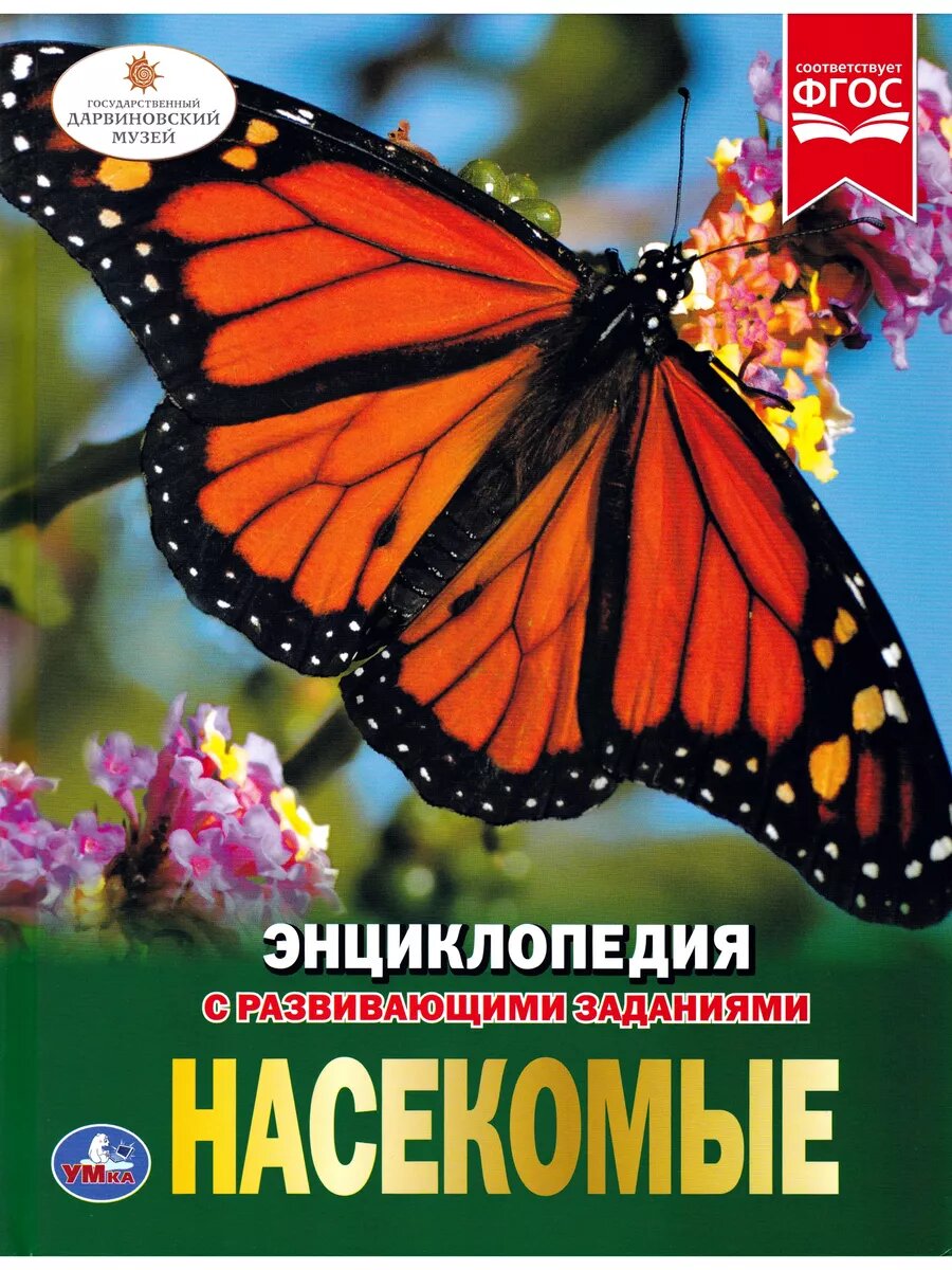 Насекомые. -