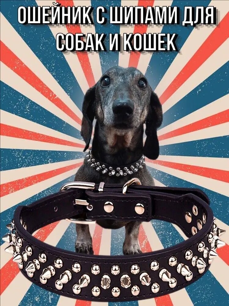 Ошейник с шипами для собак и кошек, кожаный черный ошейник с металлическими шипами и пряжкой для прогулок