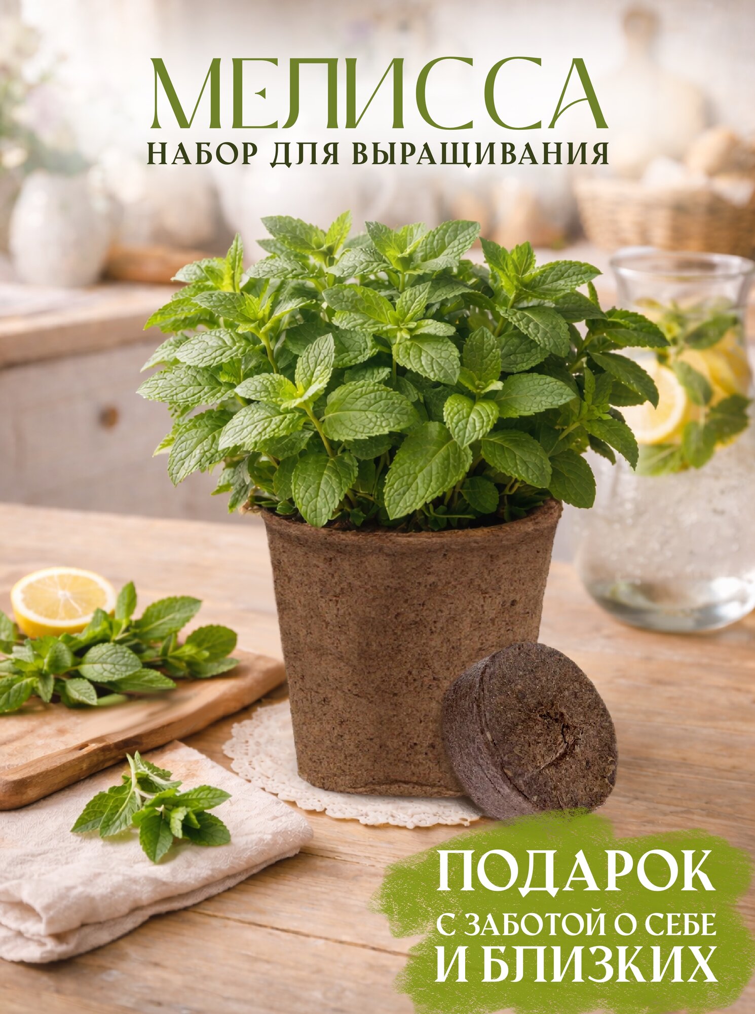 Набор для выращивания ароматных чайных трав на подоконнике Мелисса