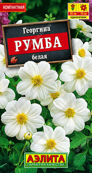 Семена георгины Аэлита "Румба белая", низкорослой, крупноцветковой, для яркого цветения