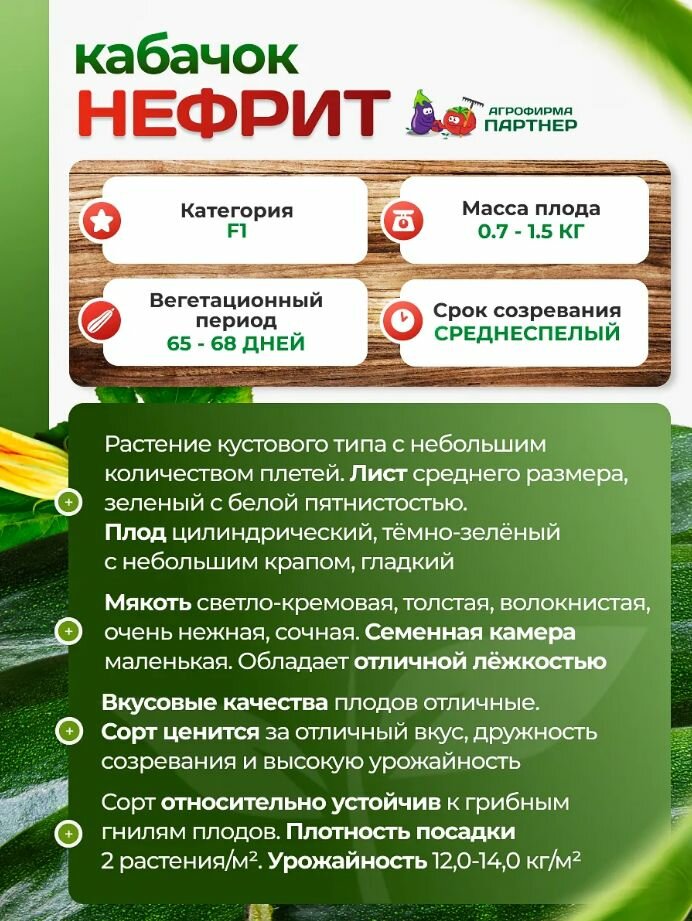 Семена цуккини Нефрит — фото 1