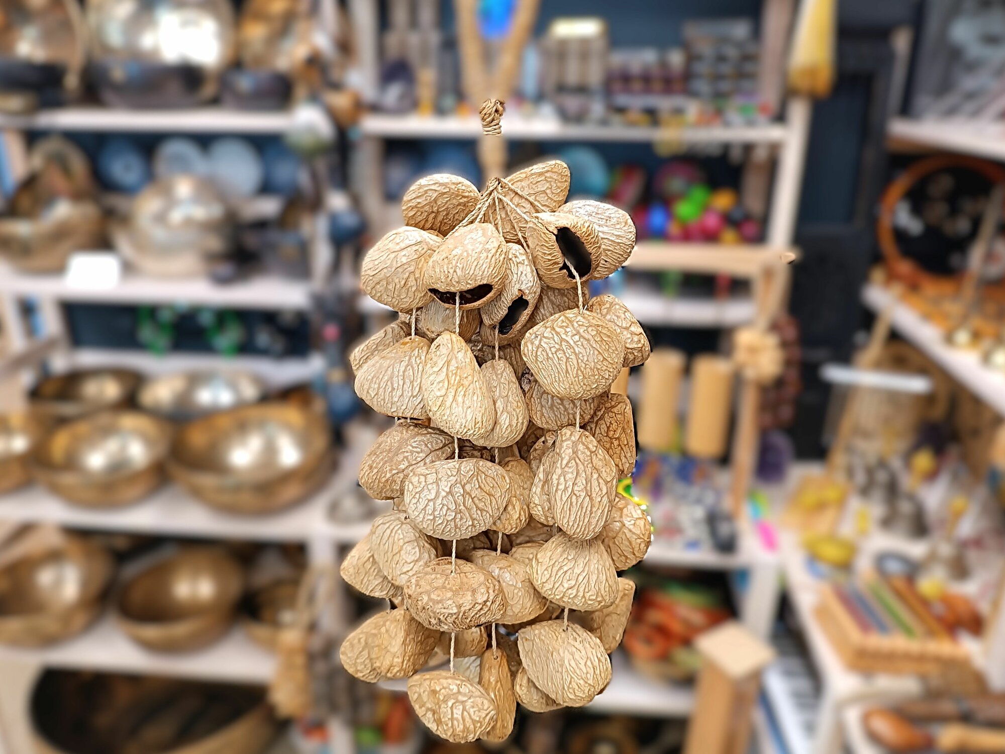 Pangi Nut Shaker - шейкер Панги, размер XL