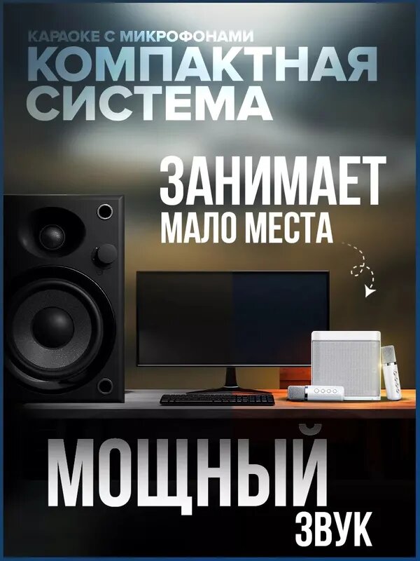 Караоке-система — фото 1