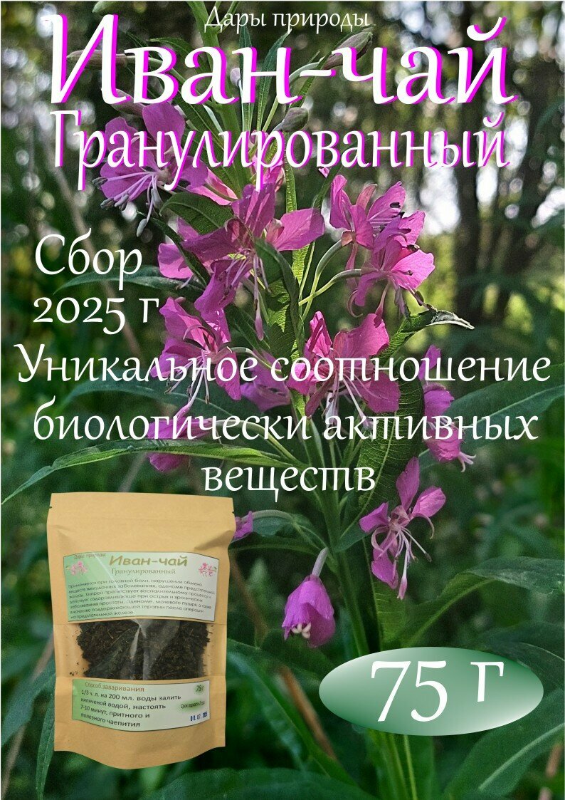 Иван-чай гранулированный. 2025 г.