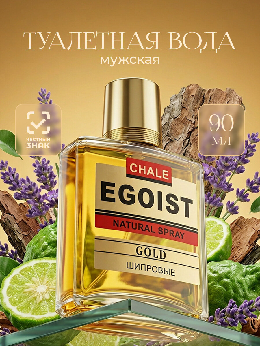 Туалетная вода мужская Alain Aregon Chale Egoist Gold шипровая 90 мл