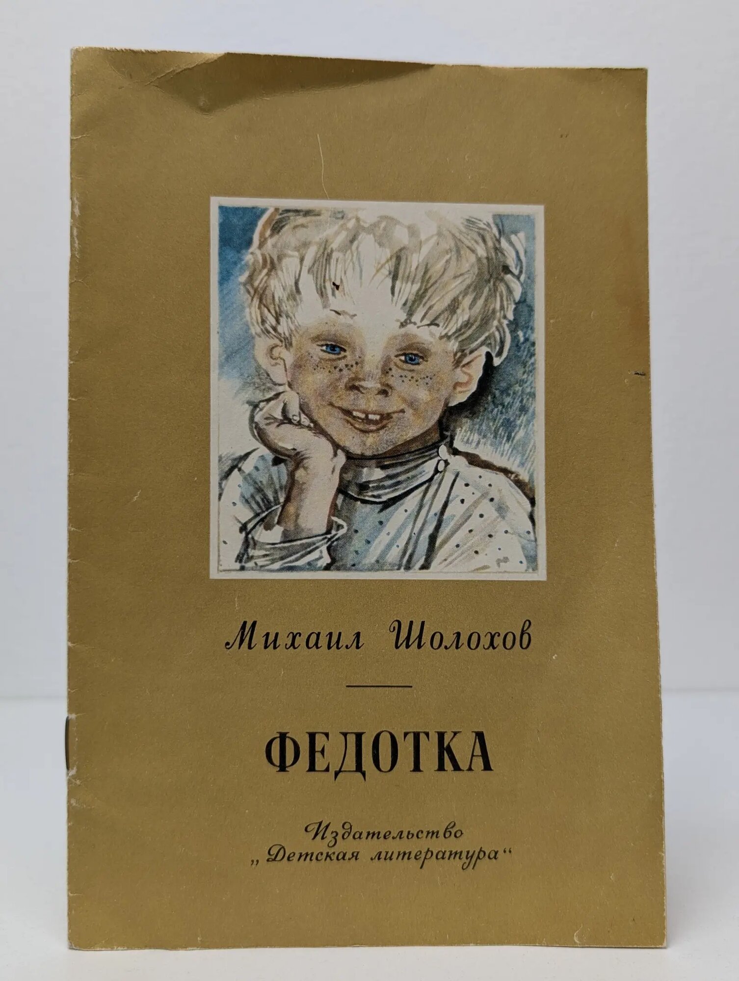 Школьная библиотека. Федотка Шолохов Михаил Александрович 1979