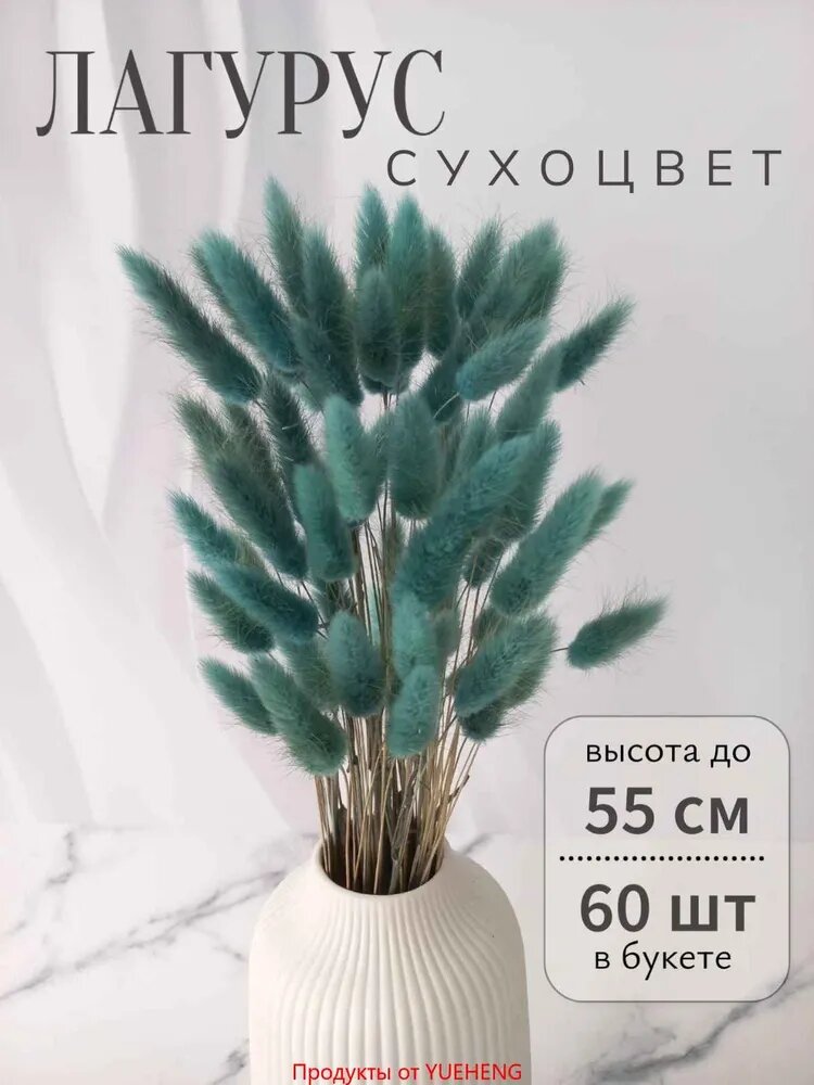 Сухоцветы Лагурус, 55 см, 100 гр, 60 шт