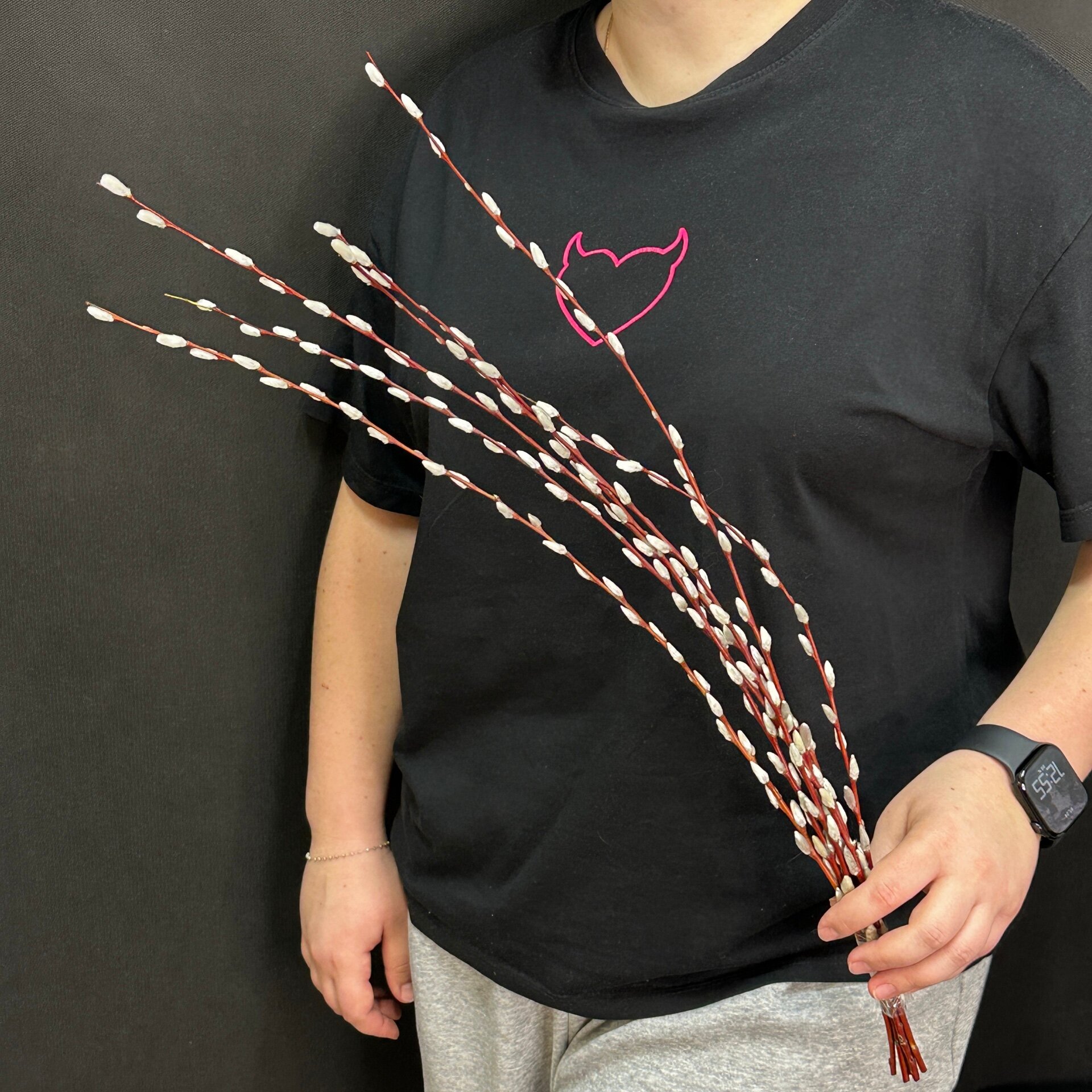 Верба натуральная / Пучок / Монобукет из живой вербы 5-7 штук