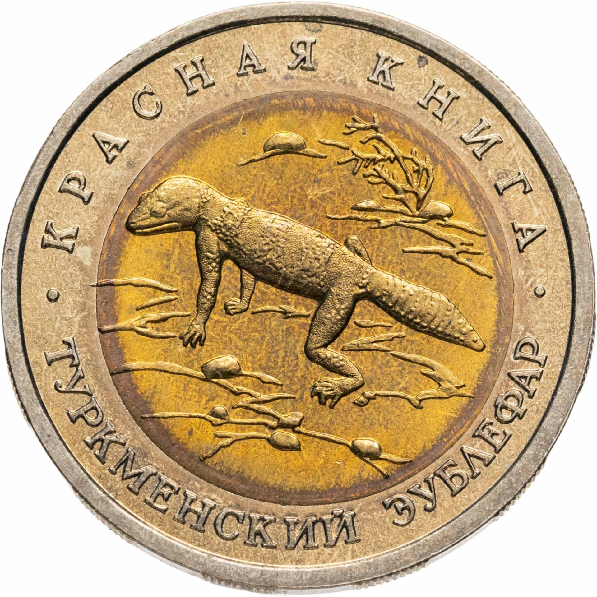 50 рублей 1993 ЛМД "Туркменский Эублефар - Красная книга", Биметалл, в сохранности AU-UNC