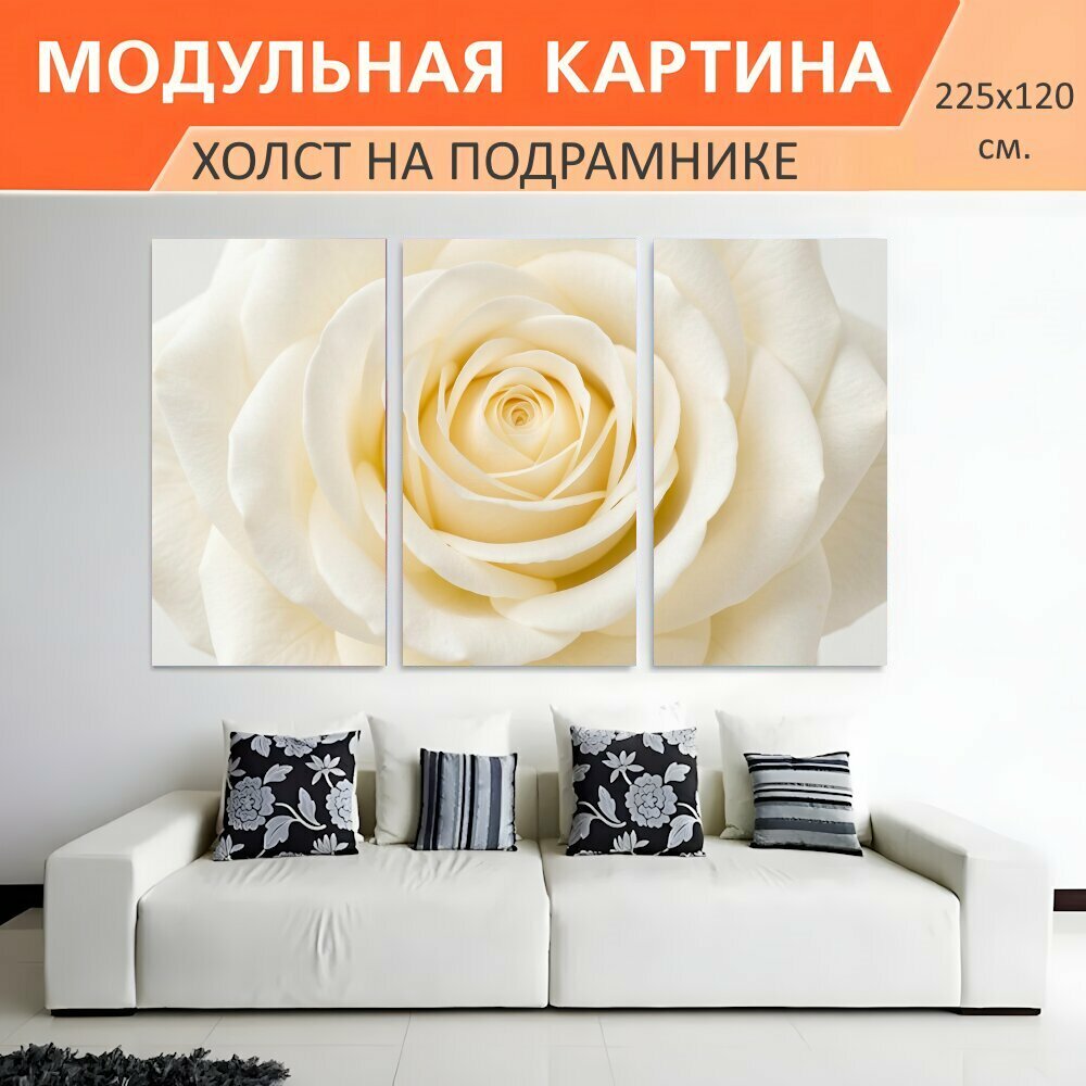 Модульная картина на холсте "Белая роза в крупном плане. Нежный макро-кадр элегантного цветка с бархатистыми лепестками." триптих на подрамнике 225х120 см. для интерьера