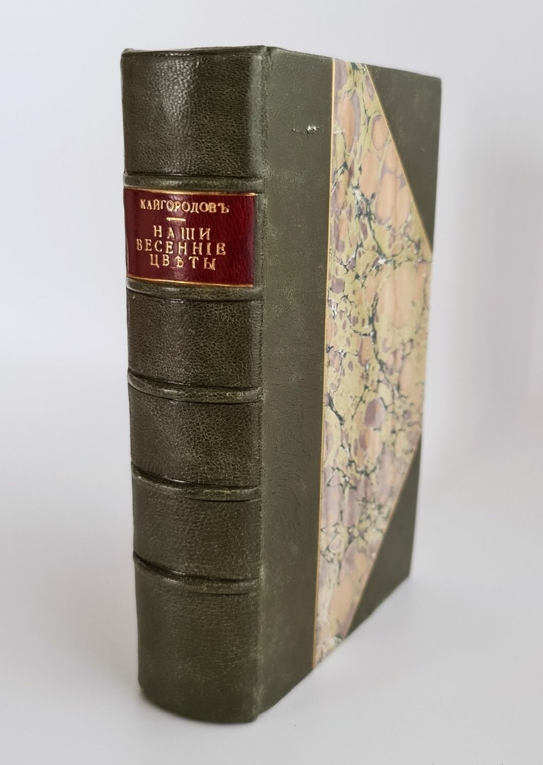 "Наши весенние цветы. Наши летние цветы". Кайгородов. 1915г.