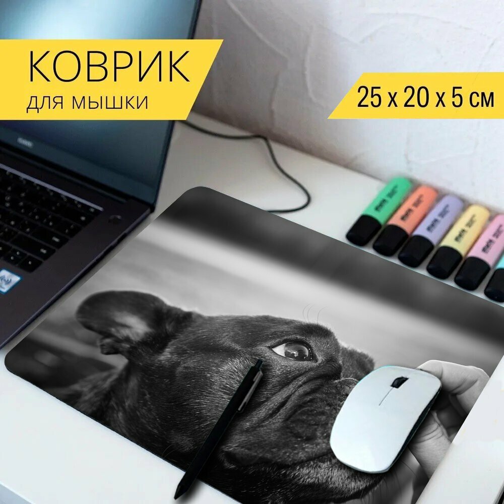 Коврик для мыши с принтом "Французский бульдог, собака, животное" 25x20см.
