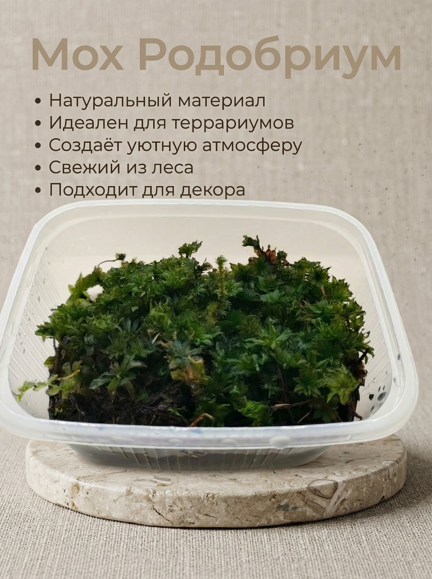 Мох родобриум свежий 250 мл для флорариумов и декора