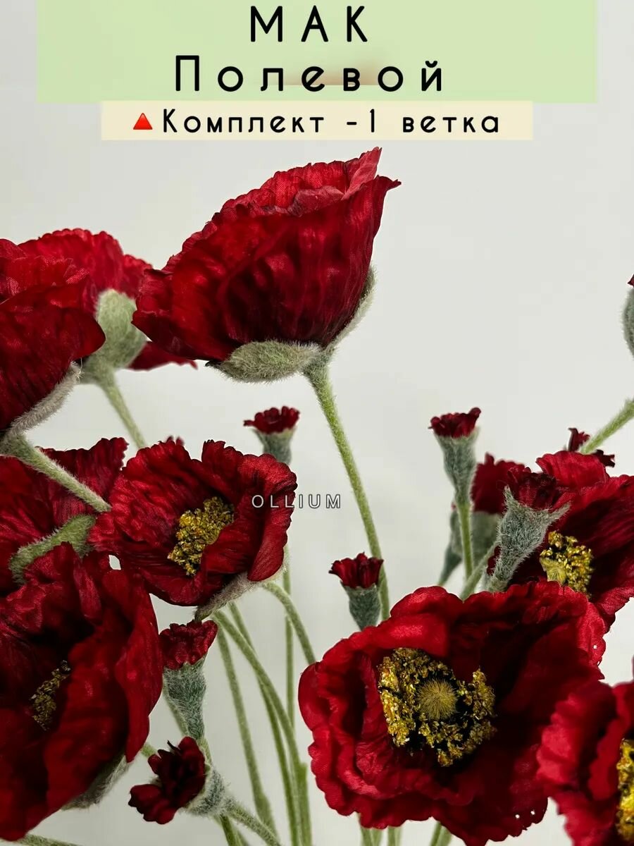 Декоративный полевой мак 1 ветка