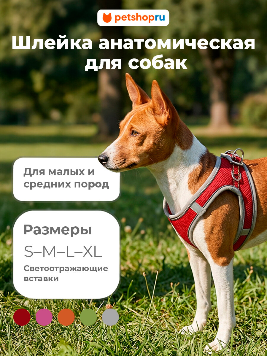 PETSHOP Шлейка для собак "Ласка", S