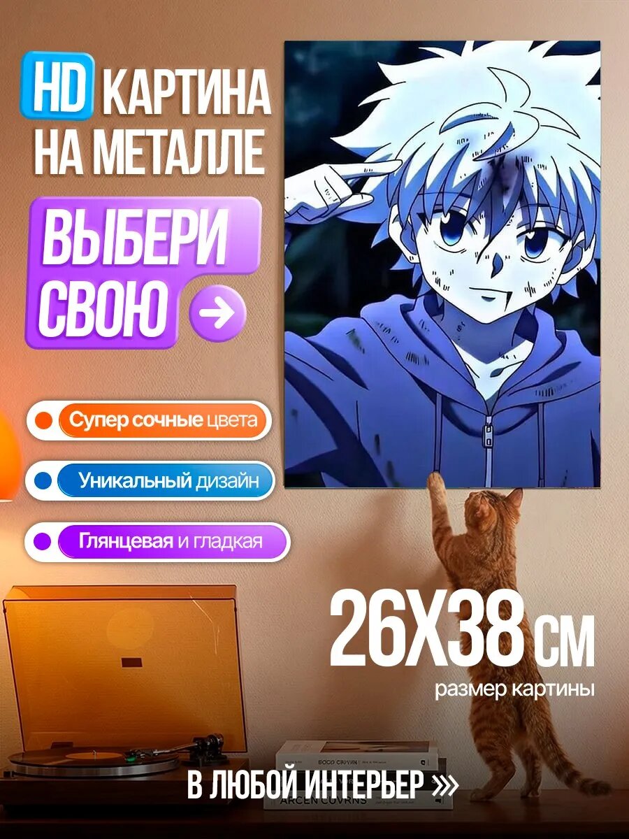 Картина на HD металле Киллуа Золдик Охотник