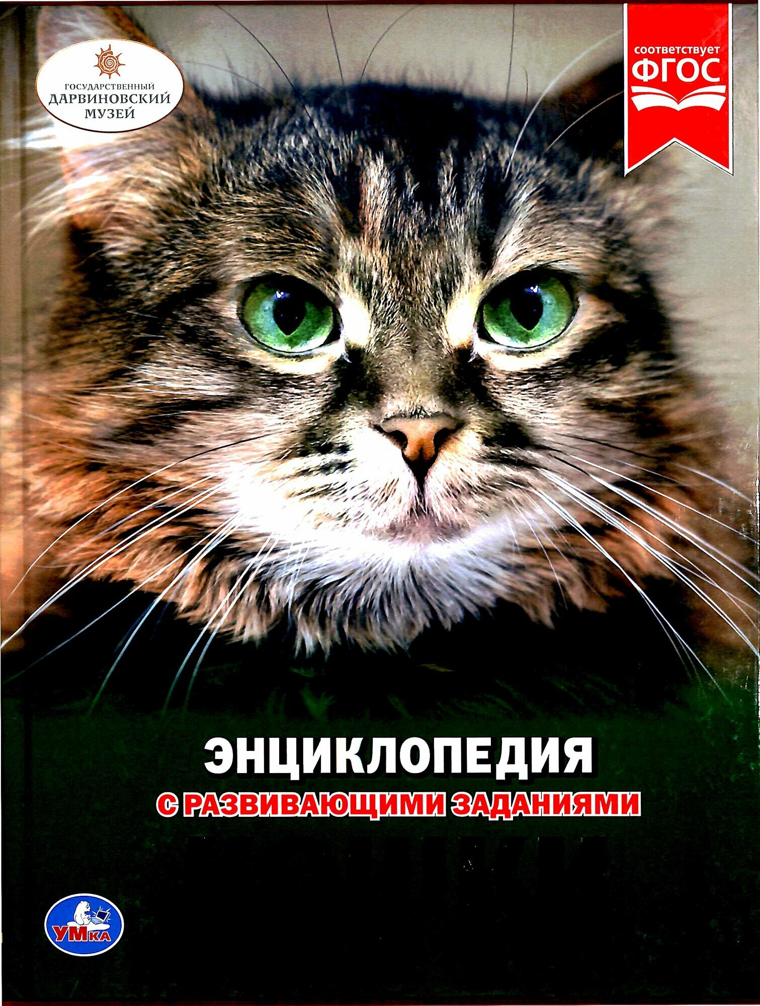 Энциклопедия Кошки и котята (с развивающими заданиями), (Умка, 2022), 7Бц, c.48