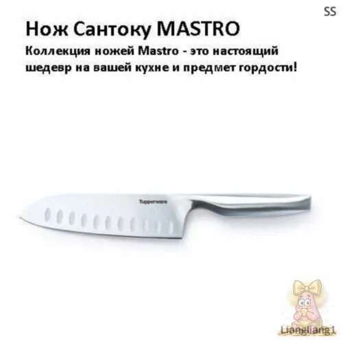 Сервировочный набор Tupperware MASTRO, 1 предмет, нож Сантоку, нержавеющая сталь — фото 1
