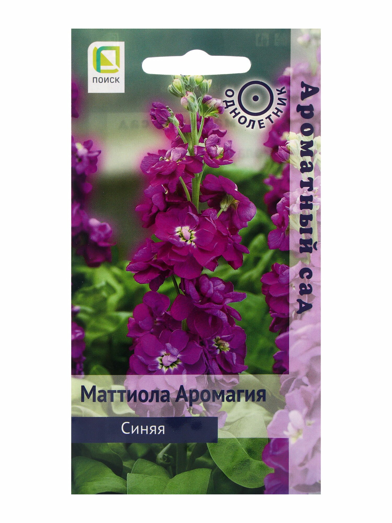 Семена цветов Маттиола Аромагия Синяя, 0.05гр, цветение период: август