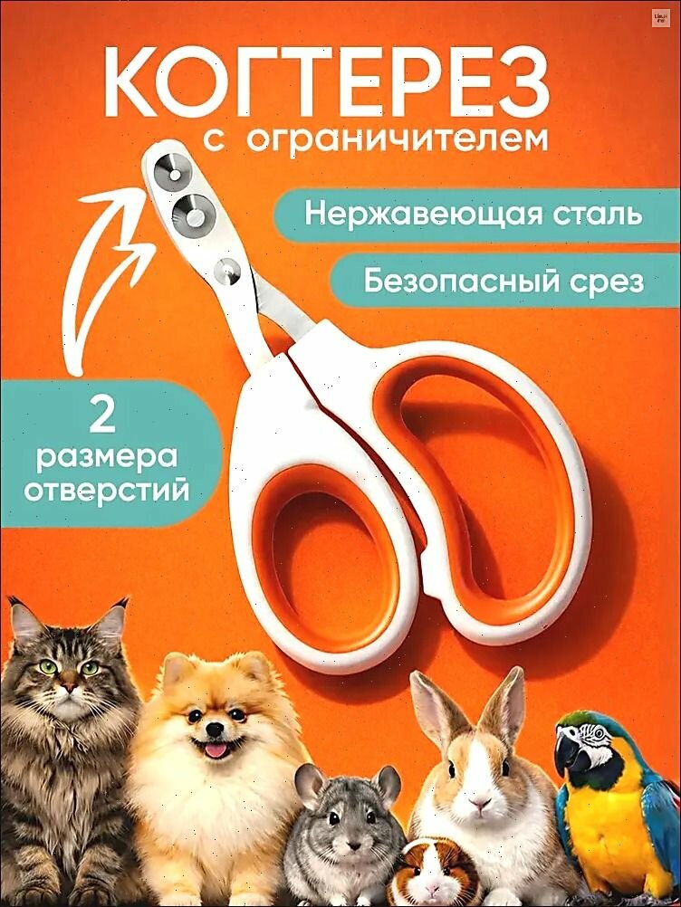 Когтерезка для кошек и собак, ножницы для когтей