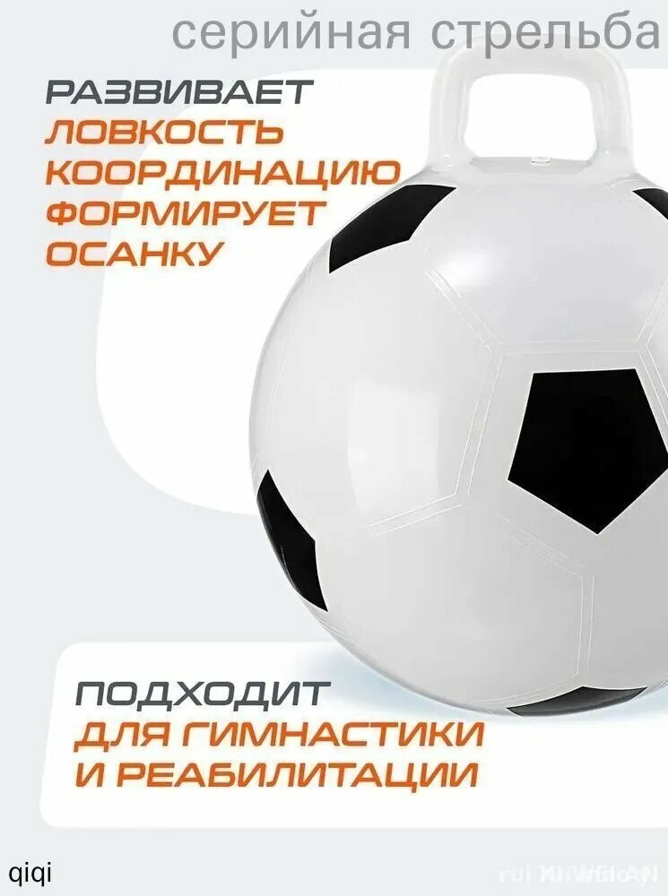 Фитбол — фото 1