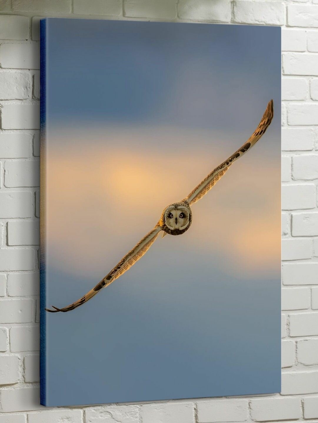 "Skywise" - картина на холсте, 60x40 см.