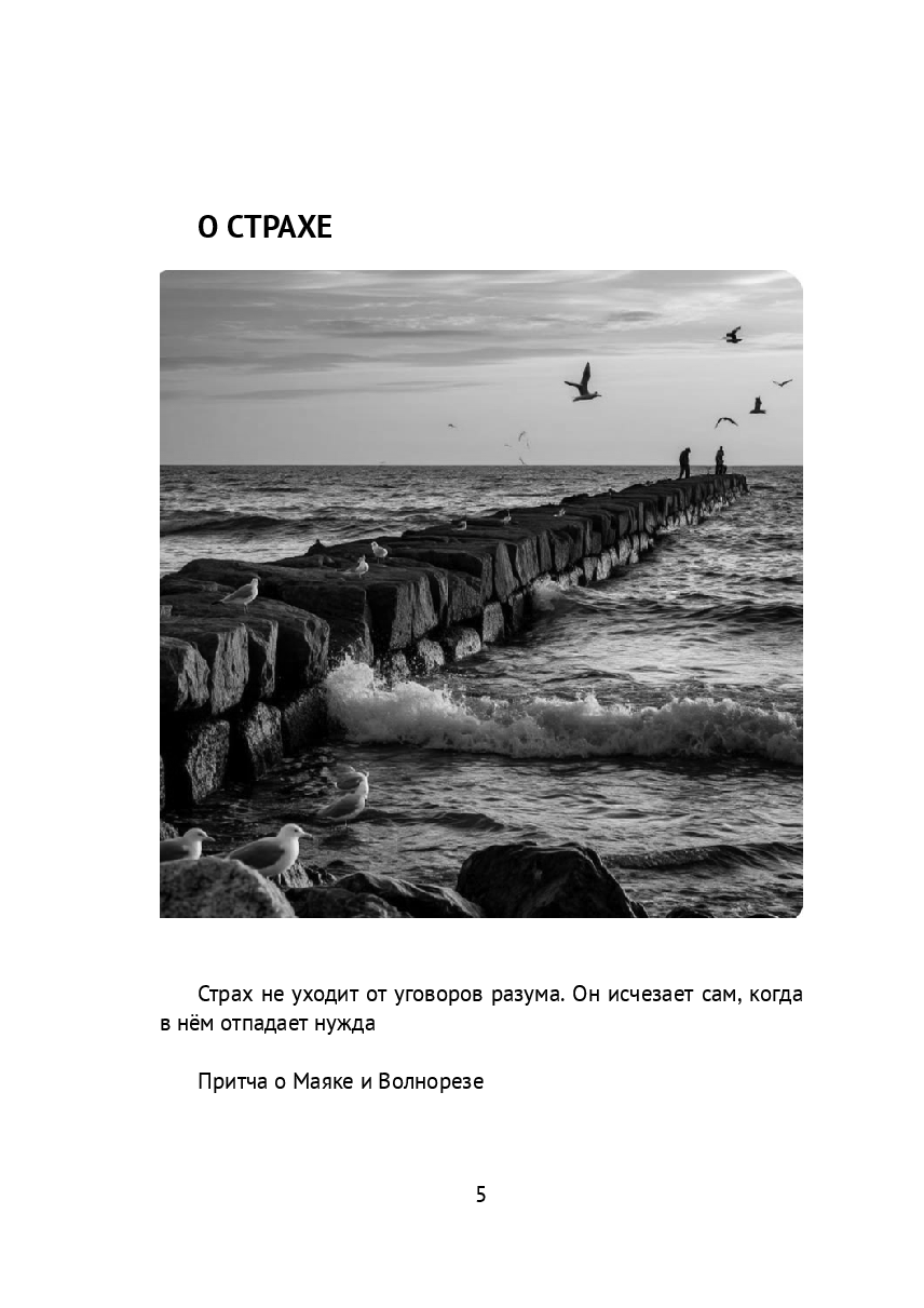 Эхо притч. Инсайты — фото 1