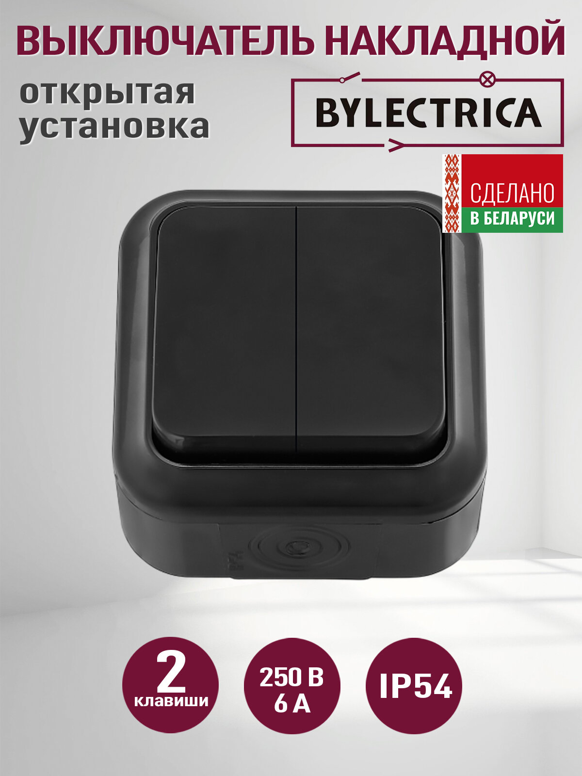 Выключатель двойной черный, IP 54, 10 А, с заземлением BYLECTRICA