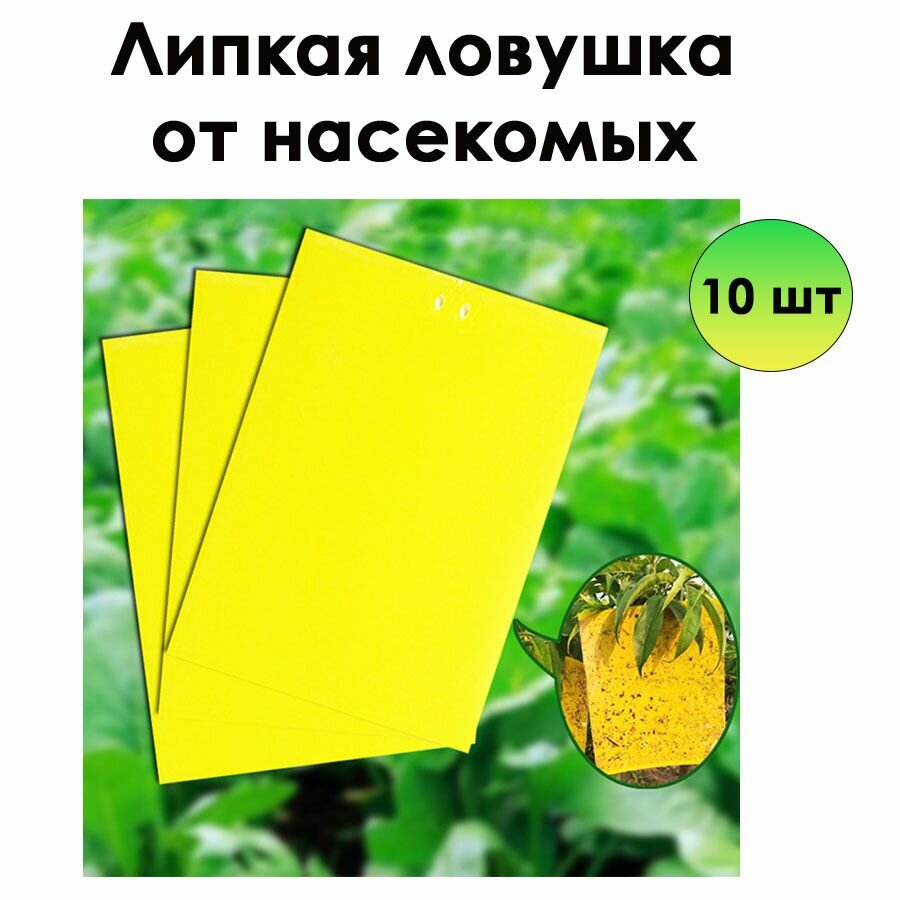 Ловушка липкая от белокрылки мух и садовых вредителей 10 шт липкая ловушка для белокрылки ловушка для садовых вредителей клейкая ловушка от мух