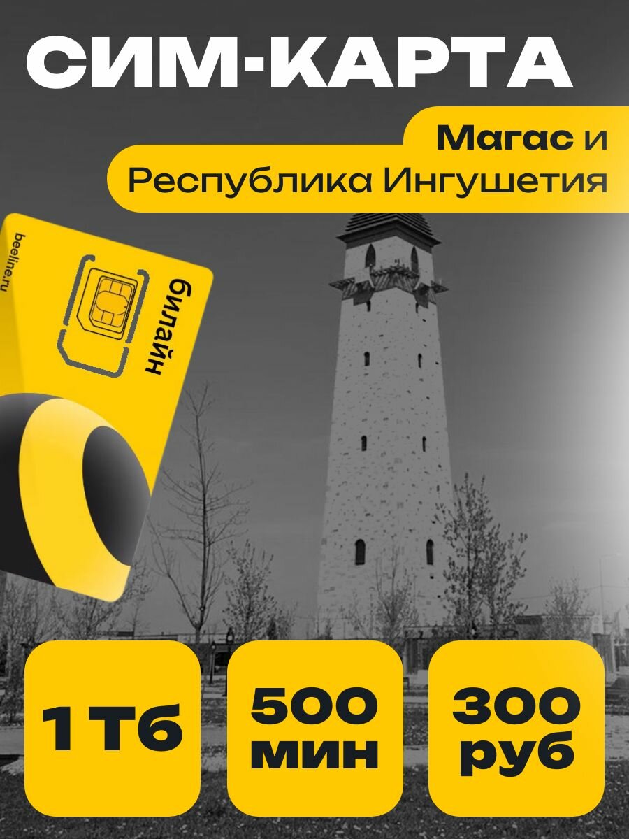 Сим-карта Билайн тариф Эксклюзивный Республика Ингушетия 1000 Гб + 500 минут за 300 руб.