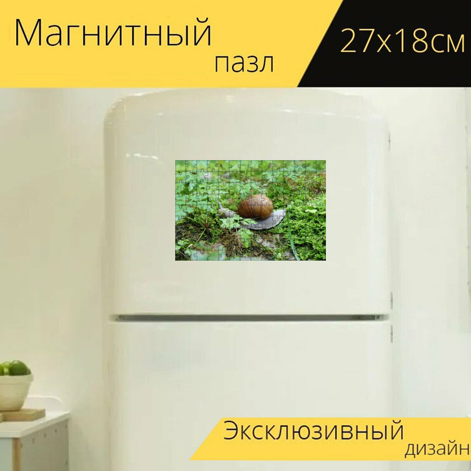 Магнитный пазл "Улитка, животное, оболочка" на холодильник 27 x 18 см.