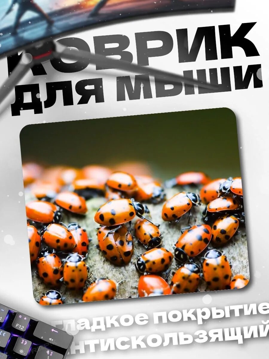 Коврик для мыши Божьи коровки